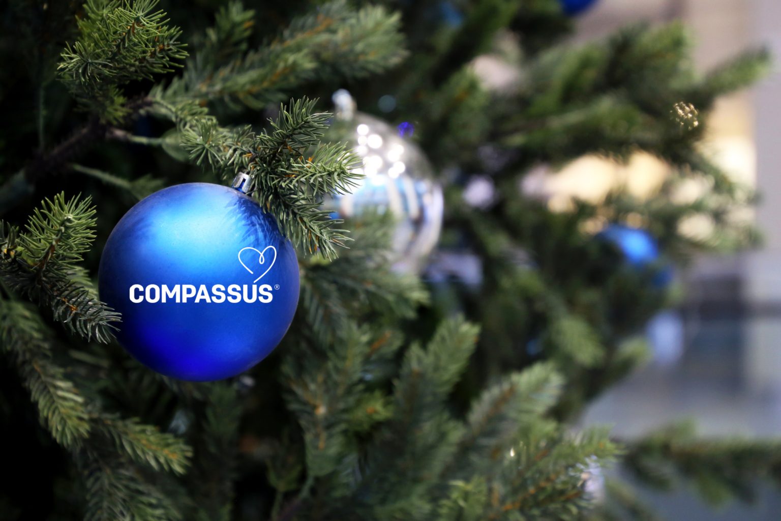 Compassus Remembers Loved Ones with Trees of Love Event | Compassus